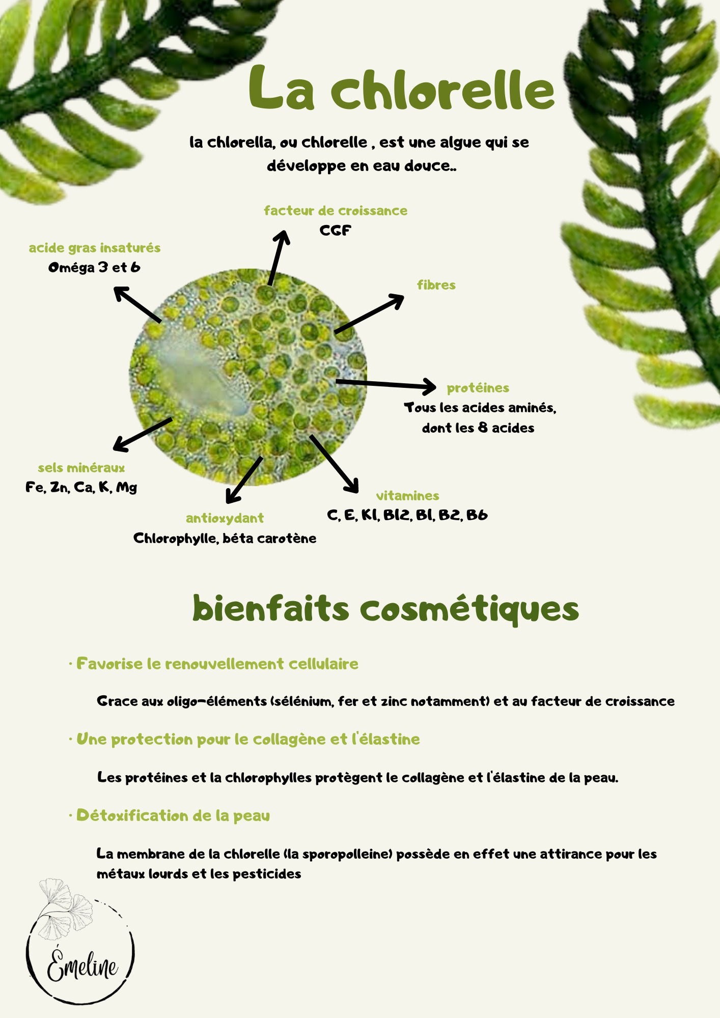 Savon thalasso à la chlorelle – Emeline-aroma