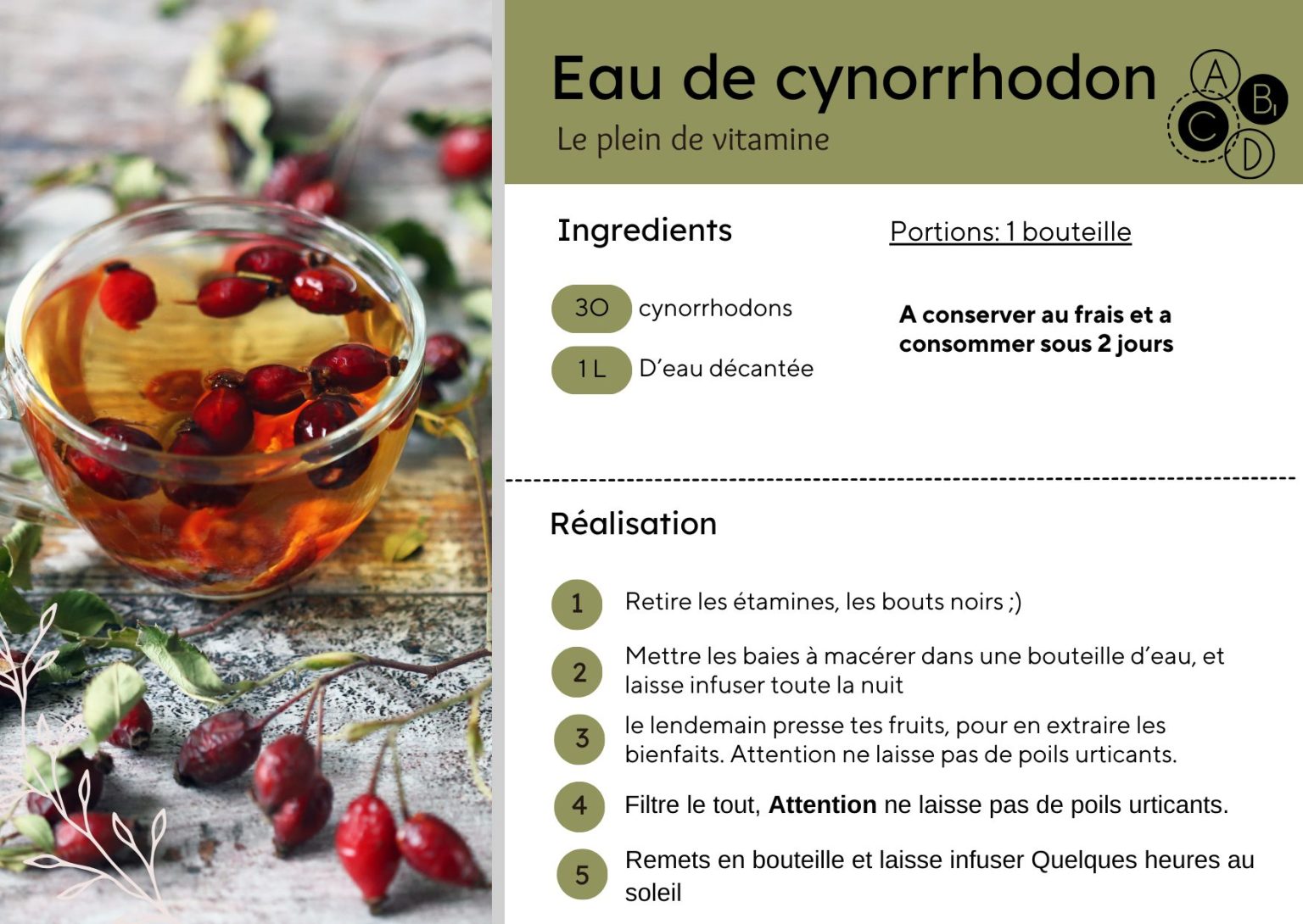 Le Cynorrhodon, le Petit Trésor des Haies – Emeline-aroma